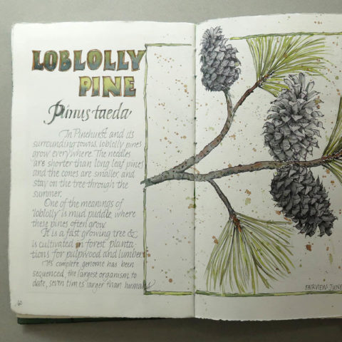 3-Day Workshops | CalligraphyConference.org