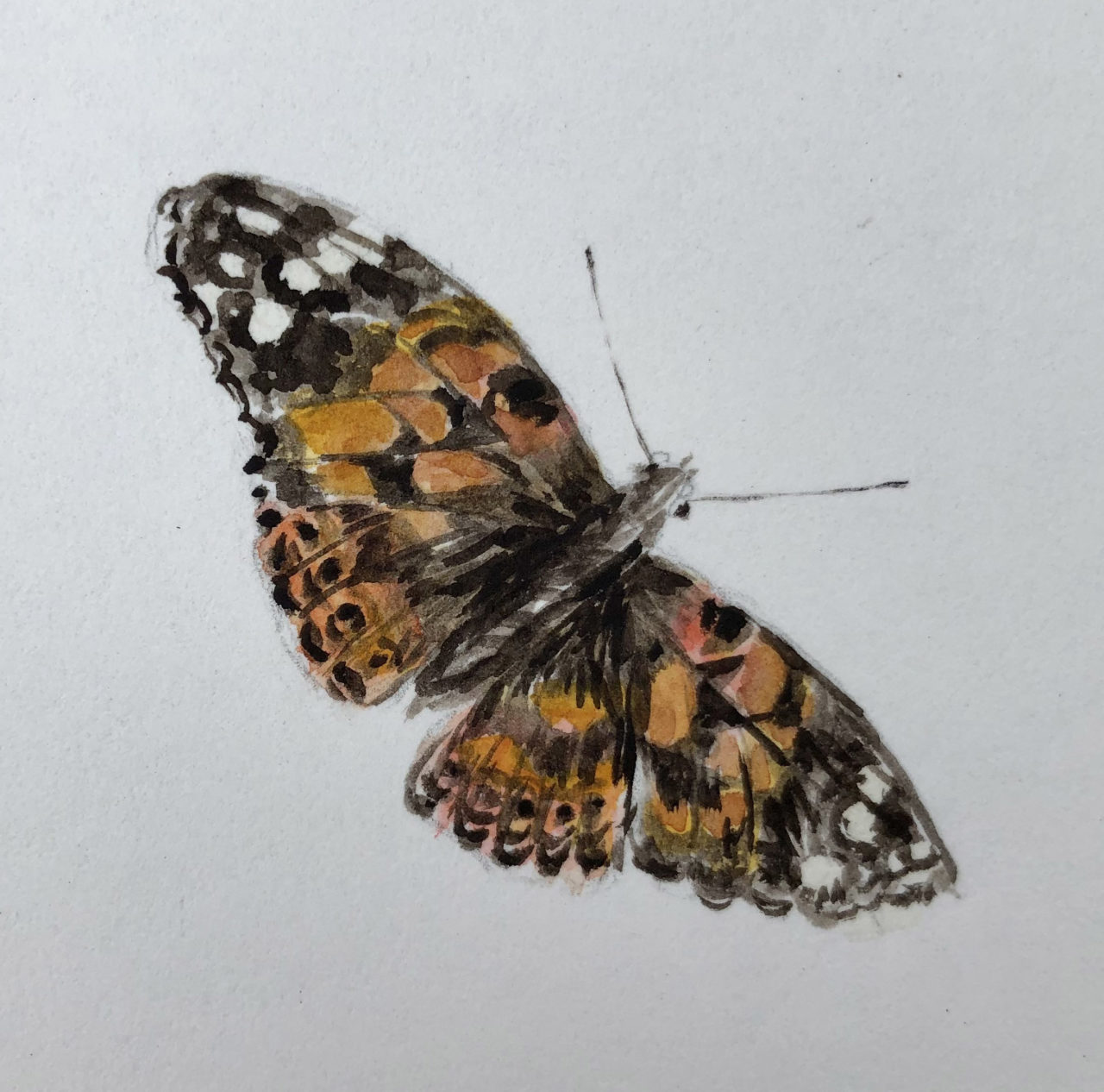 The Art of Miniature Painting & Lettering | Roman Holiday