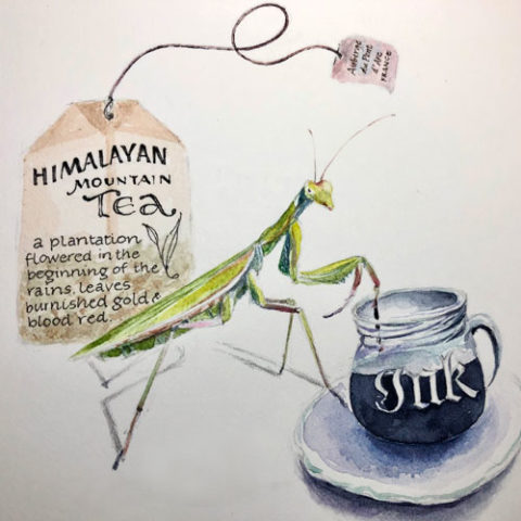 The Art of Miniature Painting & Lettering | Roman Holiday